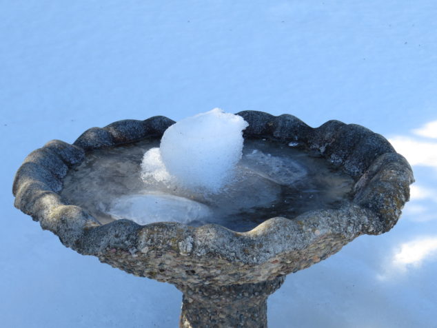 A Sure Sign - NorthStarNature